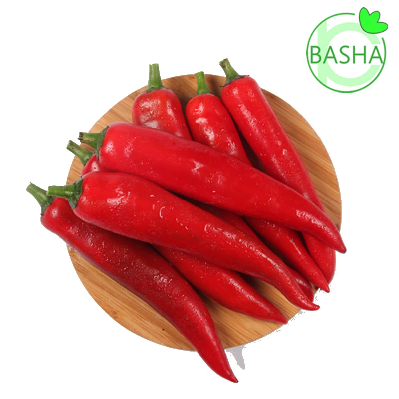 cili besar merah 大红辣椒一袋 - Basha